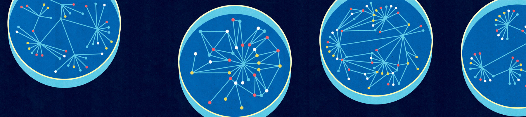 Genetic Networks – CIFAR
