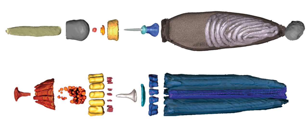 Art of Science: Weaponized microbes – CIFAR